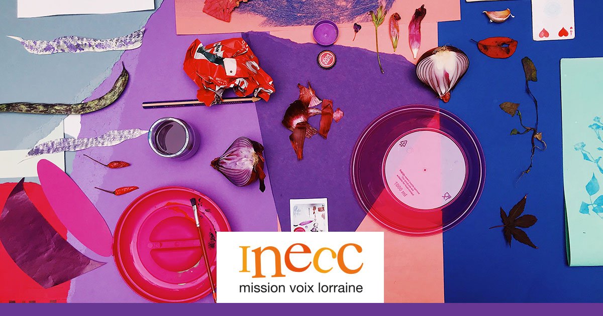 INECC Mission Voix Lorraine